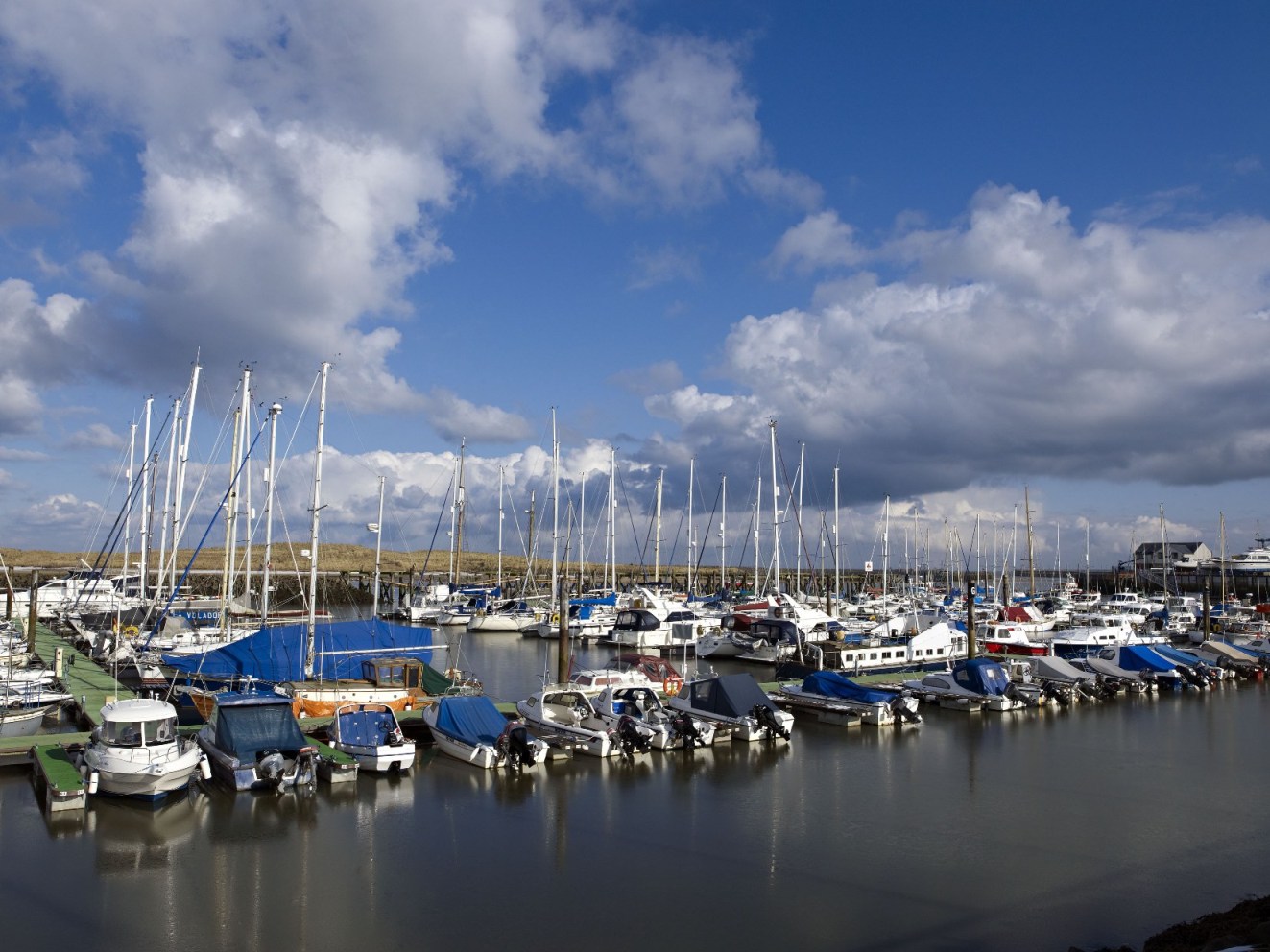 Amble, the friendliest port and a haven for bird watchers | Discover ...