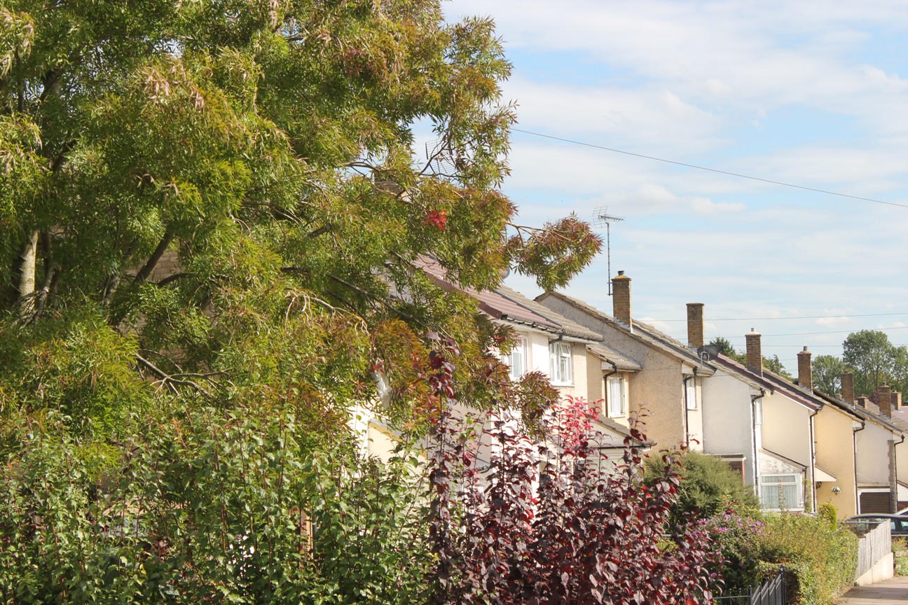 Stevenage in Hertfordshire is a study in urban planning and design, and ...